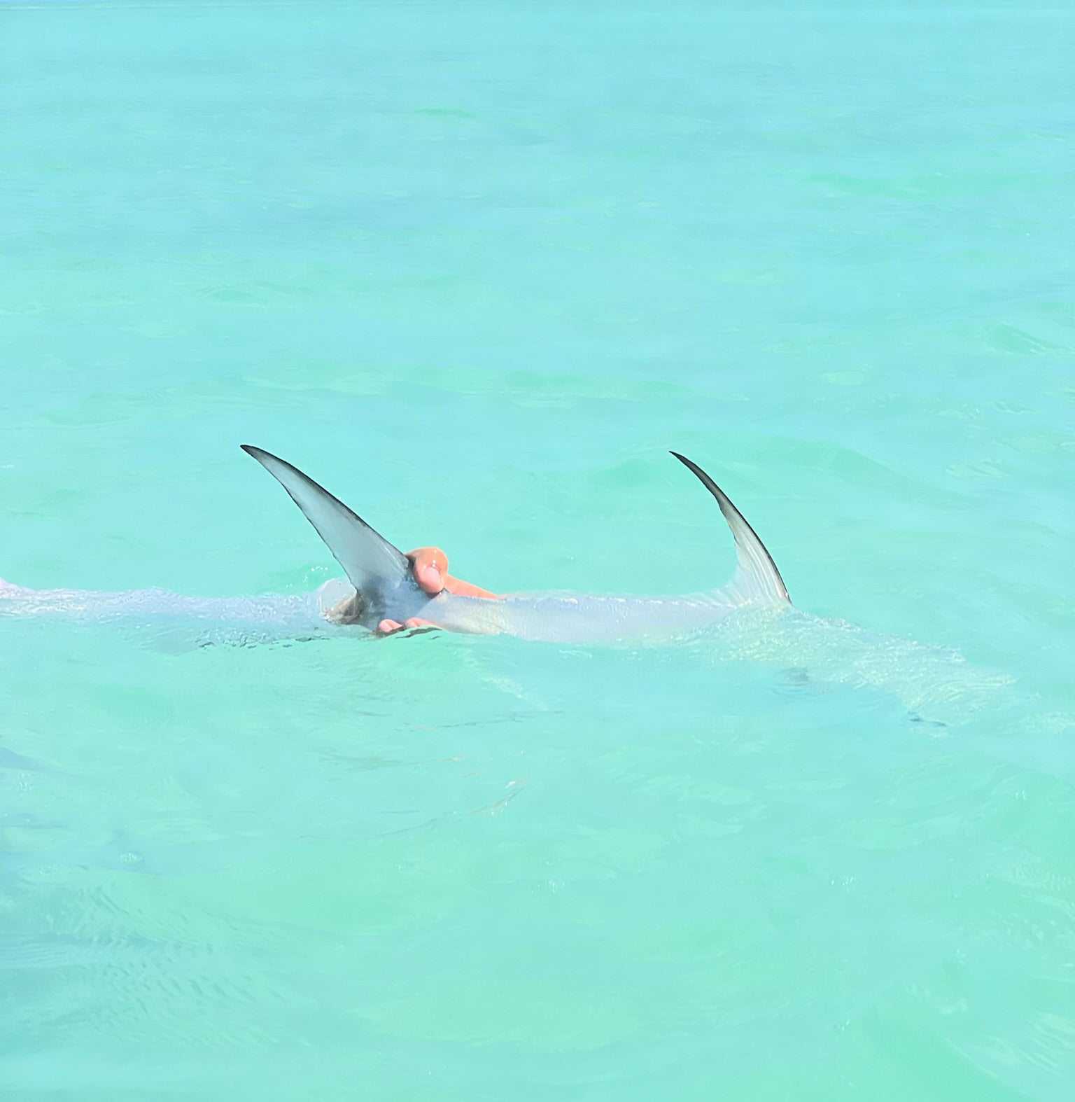 Creating a New Closed Loop System – Stillwater Travel